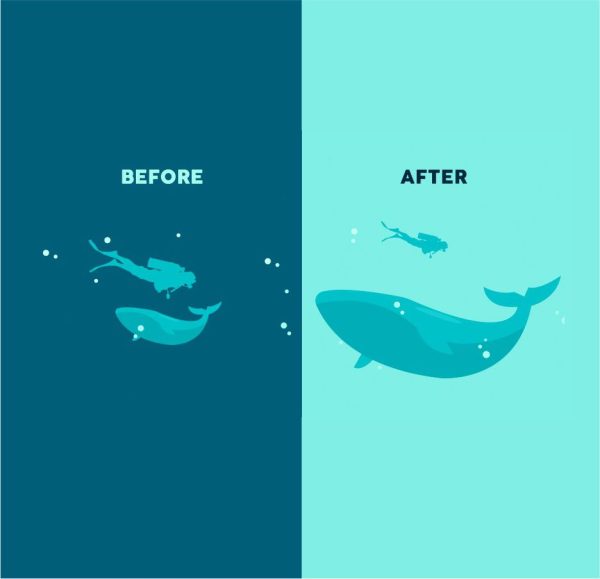 Visual Hierarchy: Five Key Principles for Design